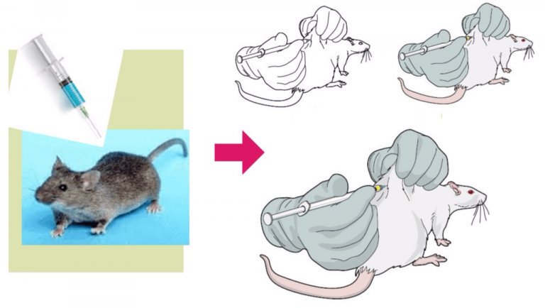 How to Create a Good Scientific Presentation - SlidePeak